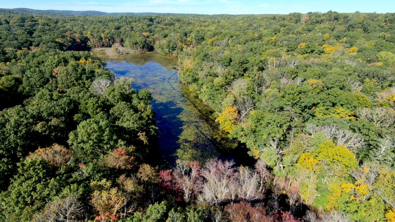 Tina Rupp | William Pitt Sotheby's International Realty