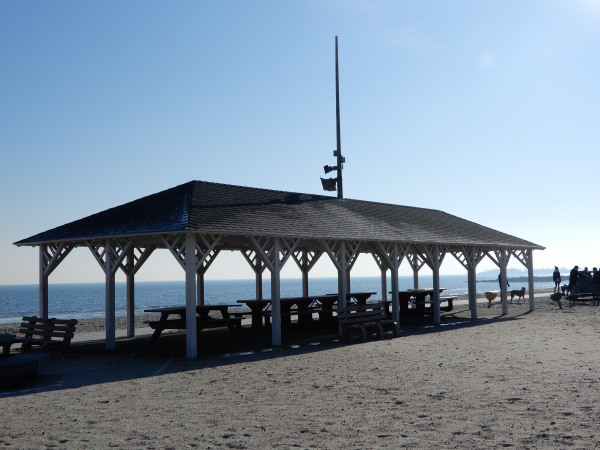 LJ Wilks | William Pitt Sotheby's International Realty