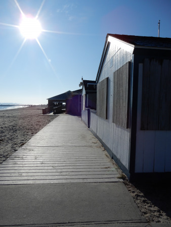 LJ Wilks | William Pitt Sotheby's International Realty