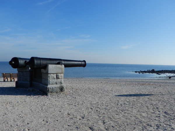 LJ Wilks | William Pitt Sotheby's International Realty