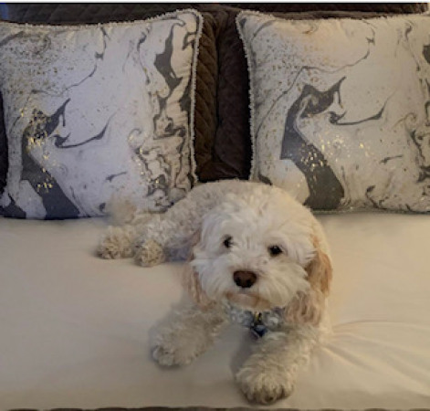 LJ Wilks | William Pitt Sotheby's International Realty