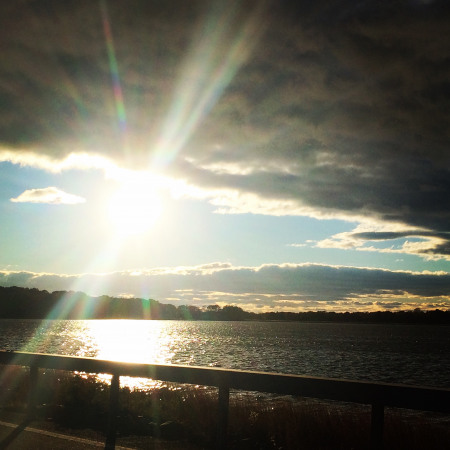 Tina Rupp | William Pitt Sotheby's International Realty