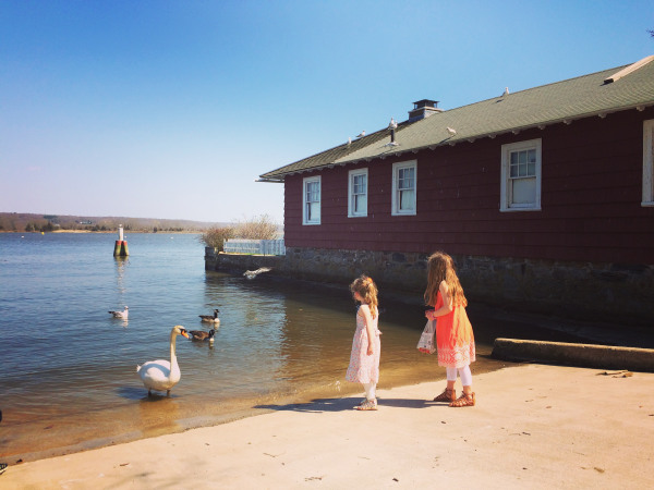 Tina Rupp | William Pitt Sotheby's International Realty