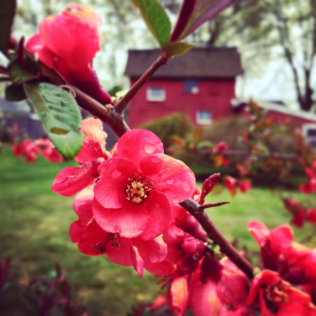 Tina Rupp | William Pitt Sotheby's International Realty